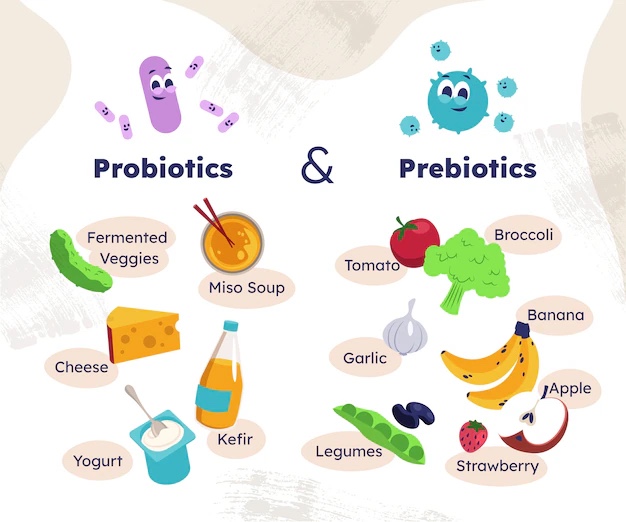 Prebiotic- probiotic symbiosis – HerbSprout.com
