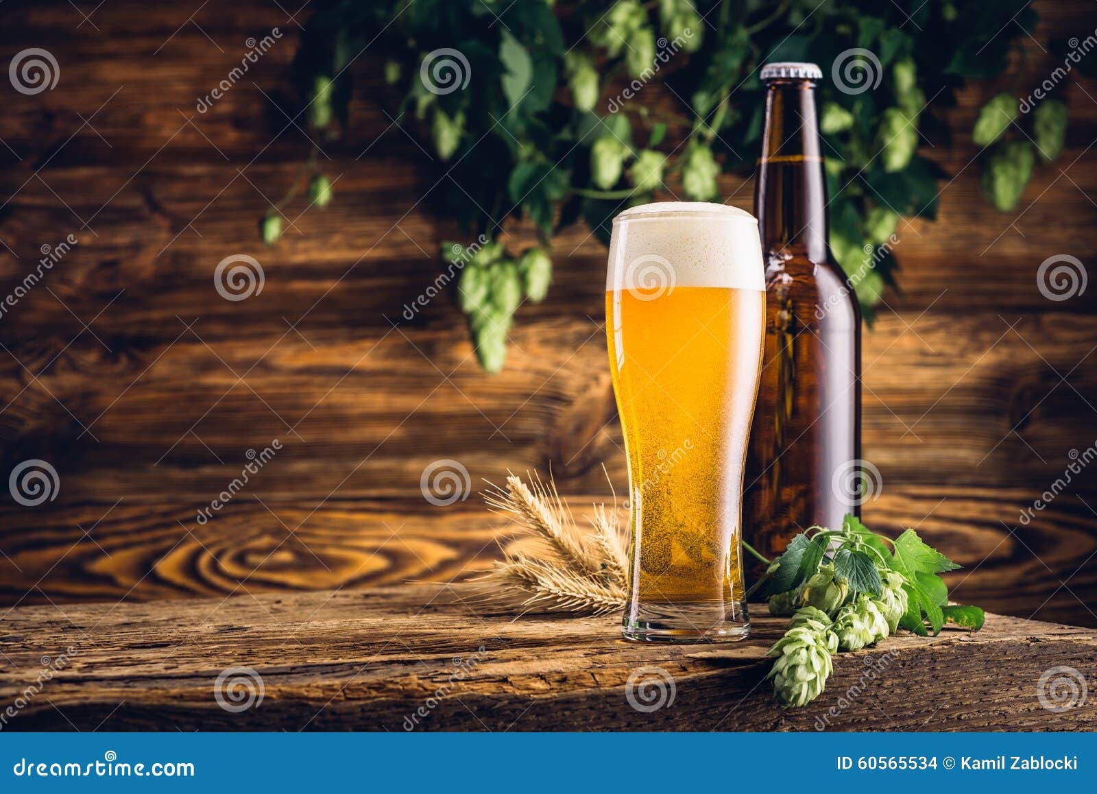 Tool created to track probiotic activity – HerbSprout.com